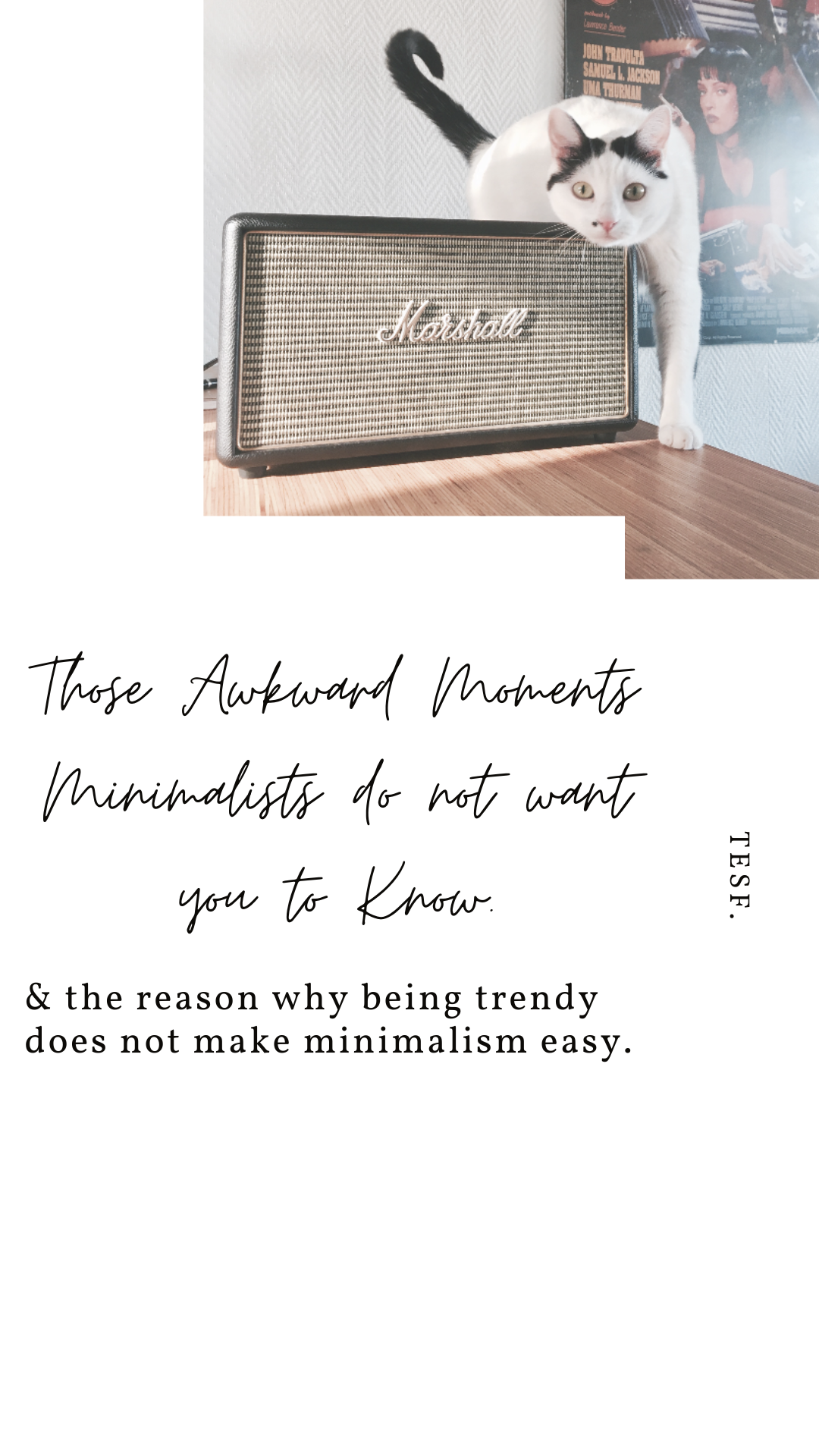 5 Awkward Moments in the Life of a Minimalist they Do Not Want You to ...